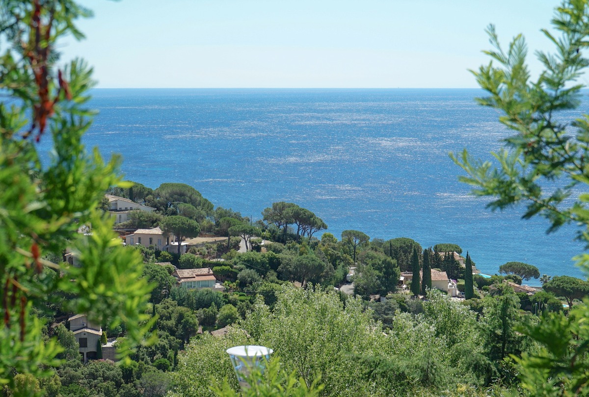 Sainte-Maxime Destination Guide | Athena Advisers